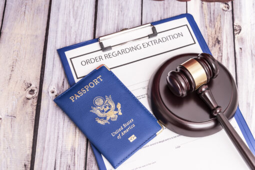 What You Should Know About the Extradition Hearing Process: The Basics ...