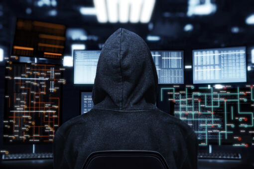Inside Federal Cyber Crime Investigations: How the Government Builds a ...
